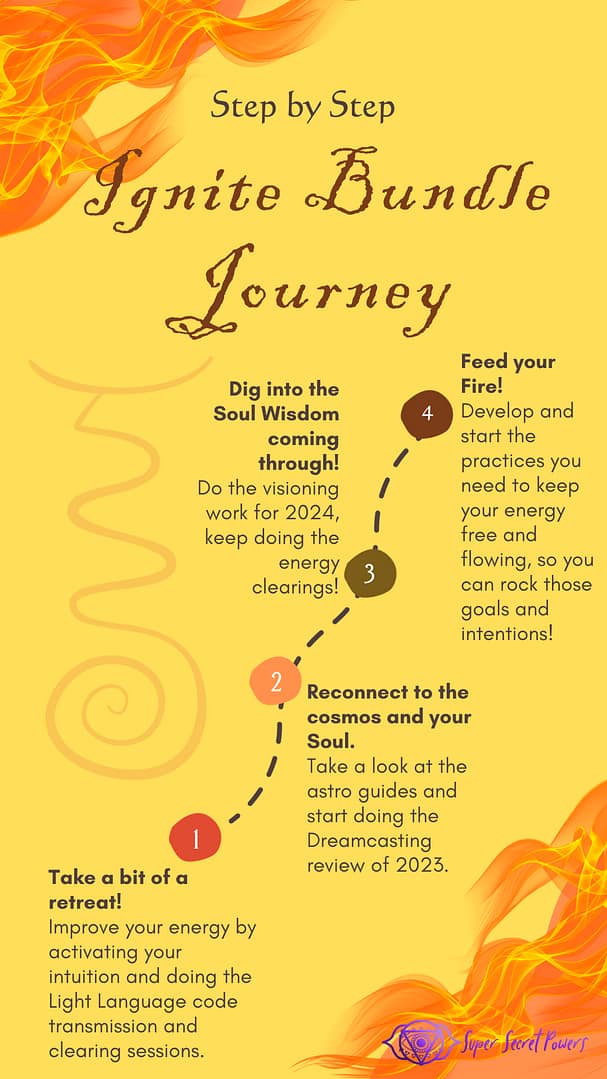 Ignite in 2024- co-create success, happiness, and soul awakening ⋆ ...